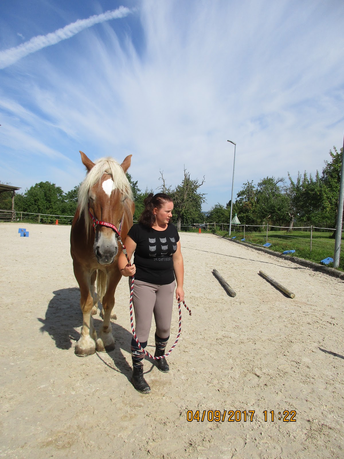 Reitfreizeit im Wilhelm-Traub Haus : Tag 4