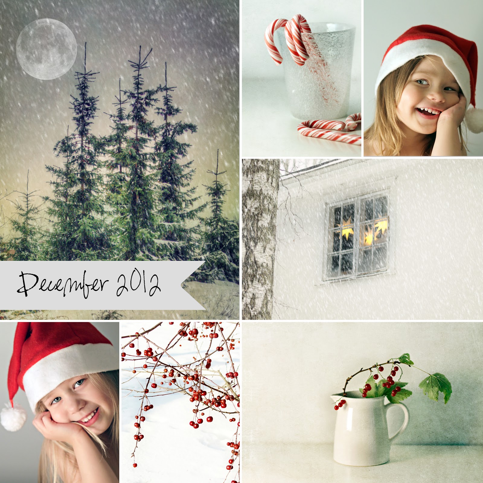 Mona's Picturesque: December 2012