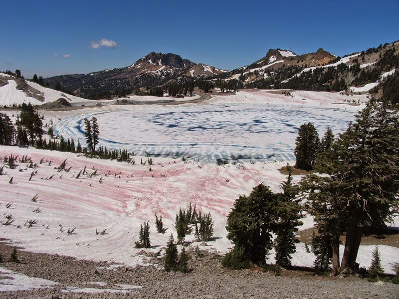 Watermelon Snow | Sierra Nevada Mountains California