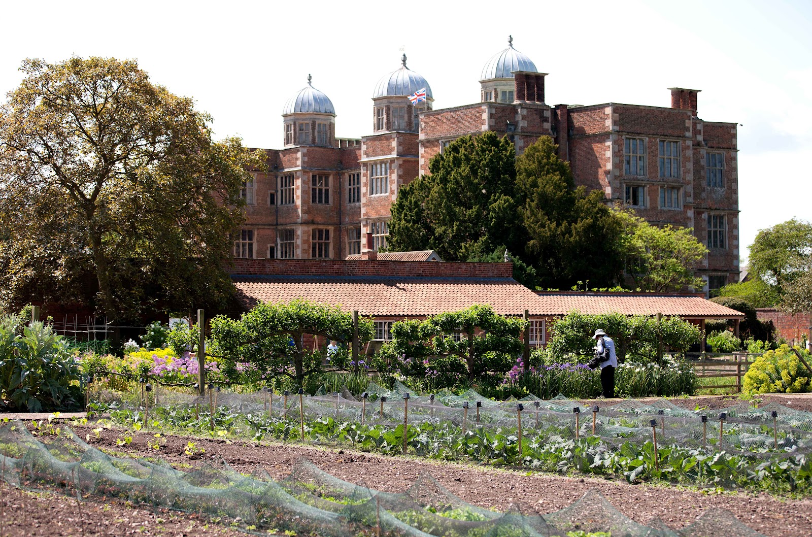 Woodlouse House: Doddington Hall - Iris Week