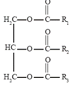 HOUSE OF CHEMISTRY: LIPIDS