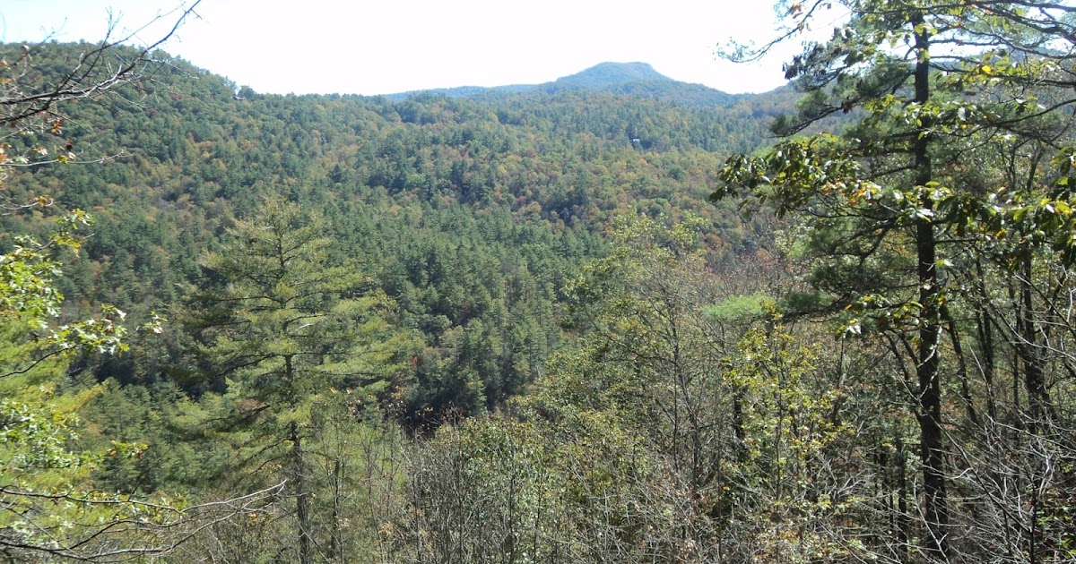 Parking Full Time Hiking Trail Journal: Nantahala National Forest ...