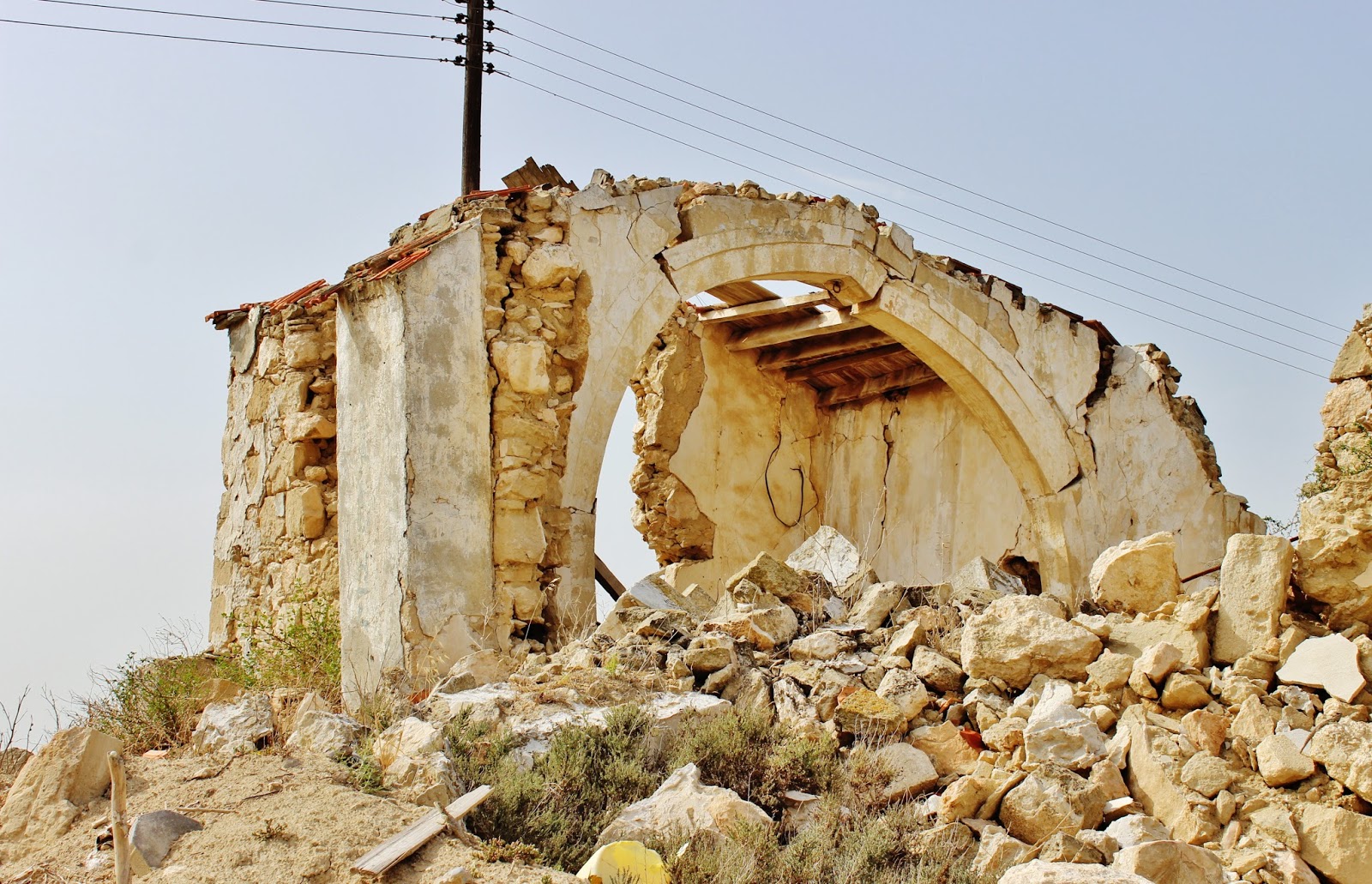 Biodiversity of Cyprus by NGO Protection of the Natural Heritage and ...