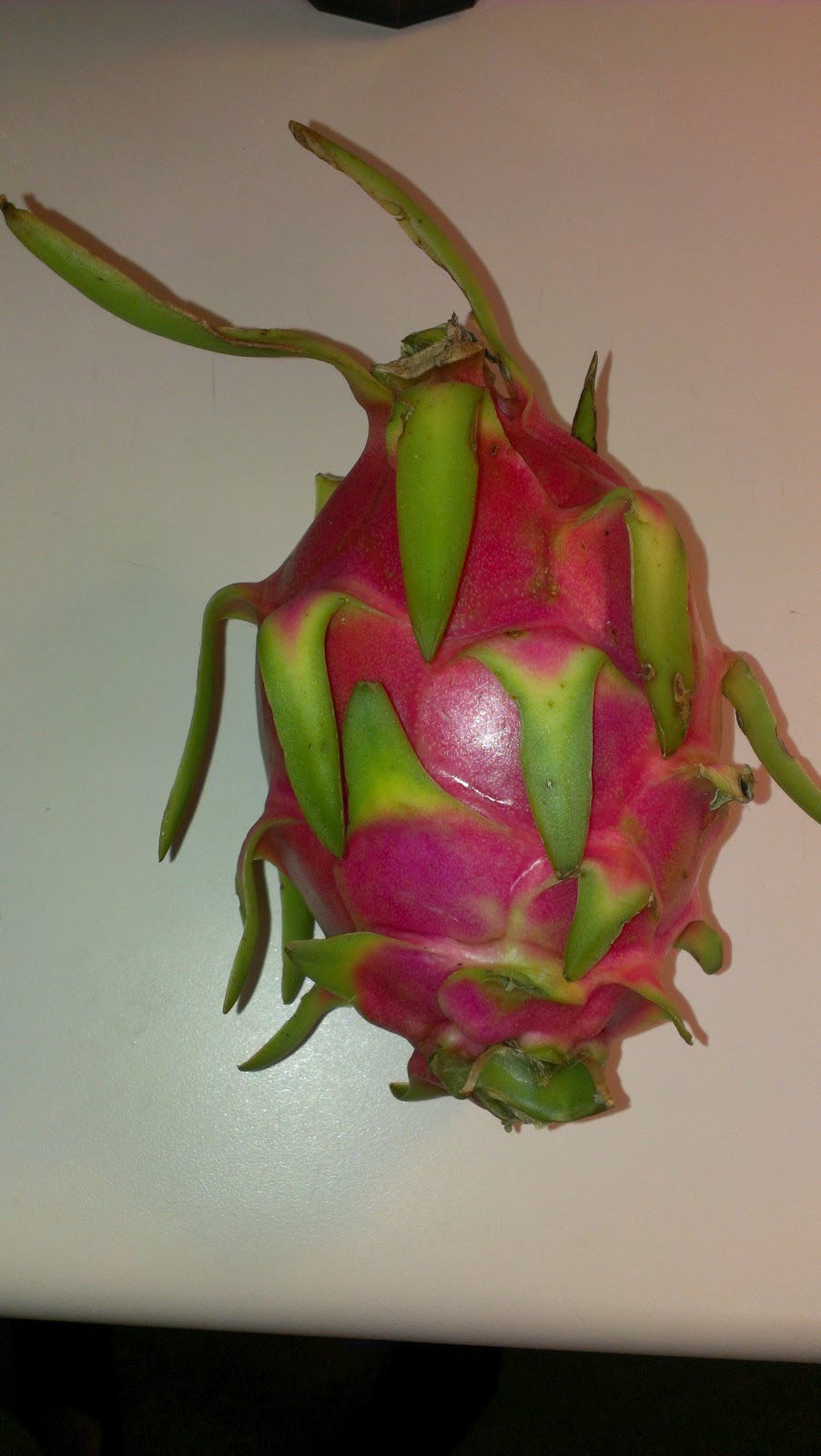 Utility Muffin Research Kitchen