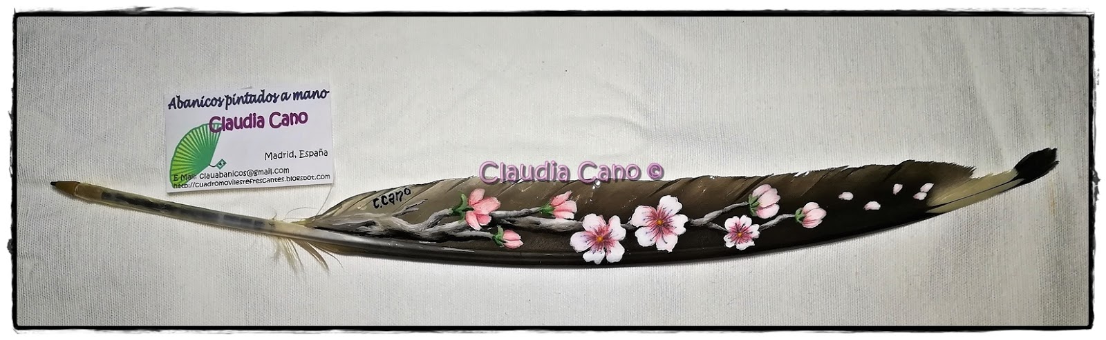 Plumas y hojas pintadas a mano por Claudia Cano: Plumas stock