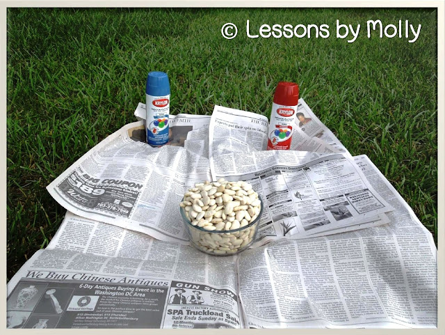 Lessons by Molly: The Saga of the Bicolored Numeracy Beans
