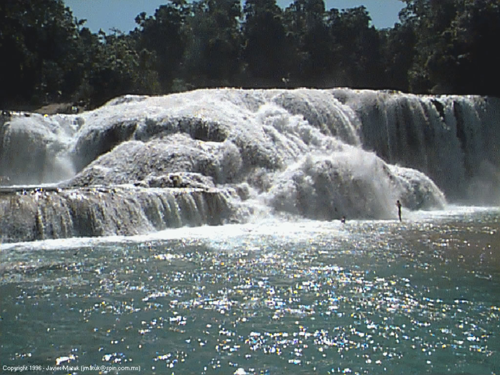 aprendiendo a conocer el mundo: Los seres vivos y no vivos