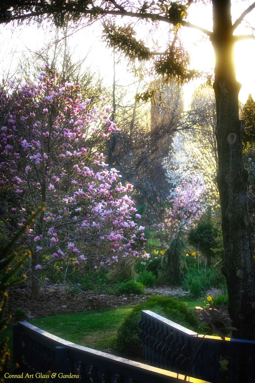 Conrad Art Glass & Gardens: Open Gardens today (4-25-17)... 2-5 pm