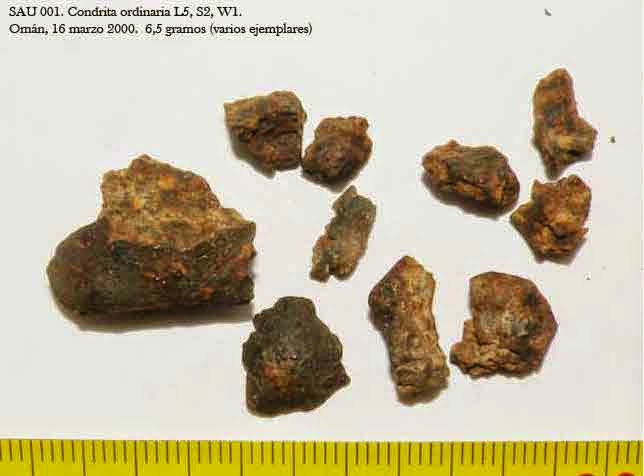 Meteoritos Canarias: El MUSEO CANARIO DE METEORITOS aumenta sus ...