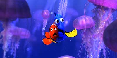 Jellyfish Finding Nemo