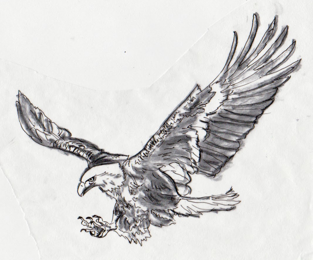 Jay's Illustration: Eagle, Tracing Paper, Micro Pen and Charcoal.