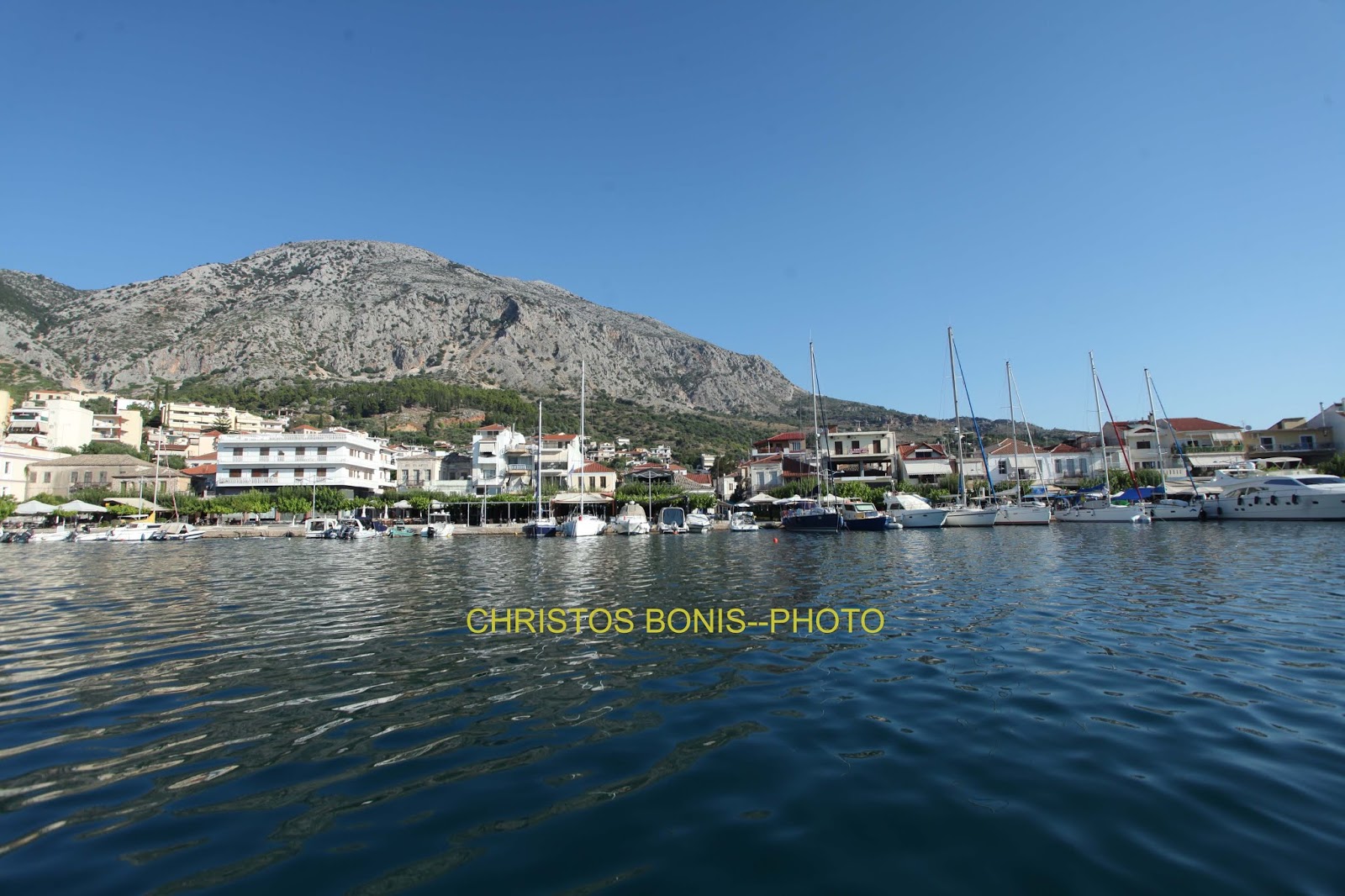 ΑΣΤΑΚΟΣ απο την πισω πλευρα - ΣΥΛΛΟΓΟΣ ΑΣΤΑΚΙΩΤΩΝ