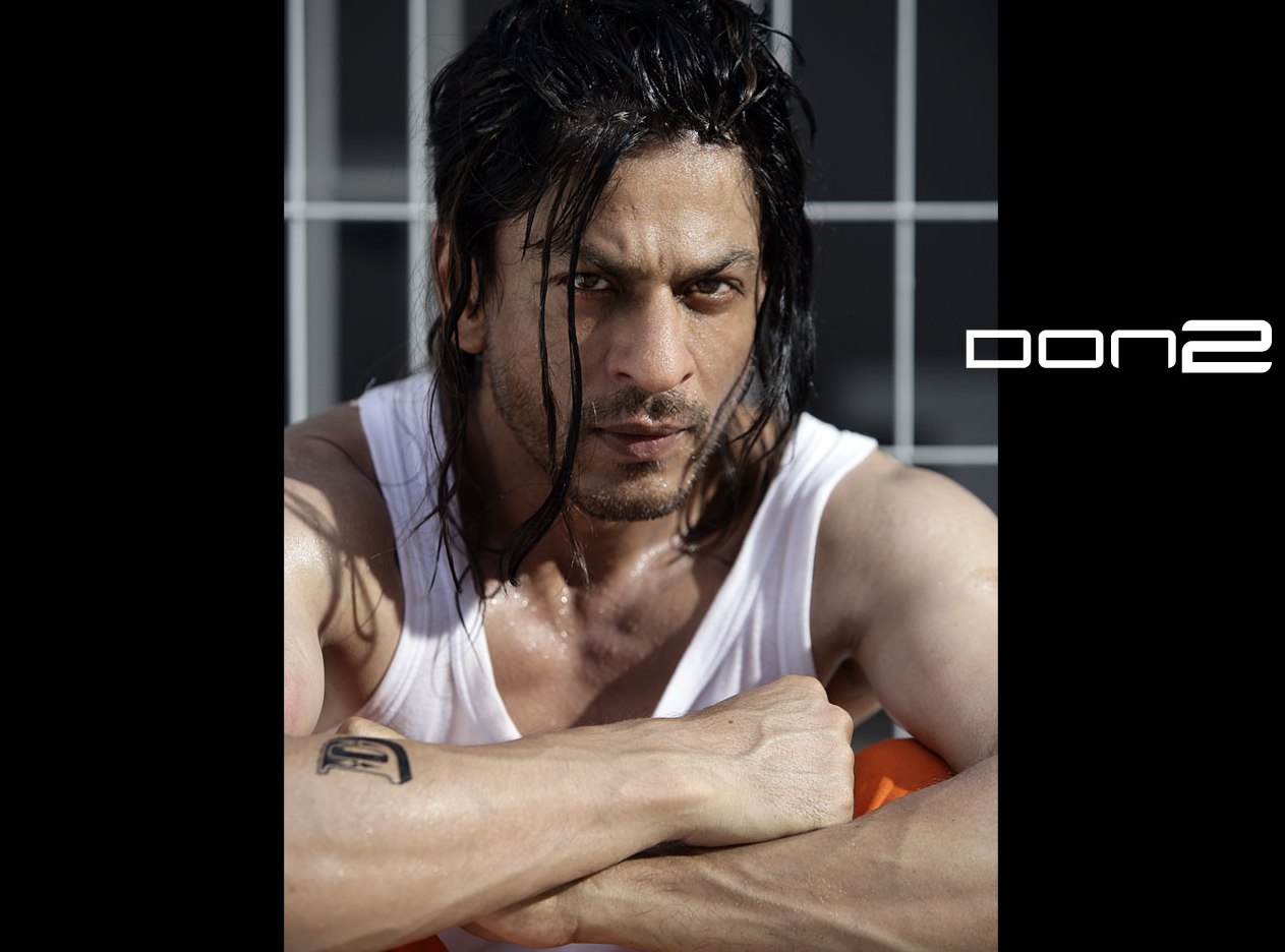 Wallpapers: Shahrukh Khan of the King - DON-2 (Hindi, 2011) Wallpapers