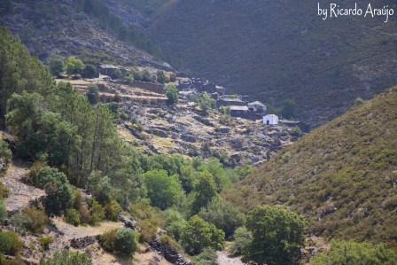 A Poesia dos Sentidos: Drave