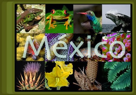 Biodiversidad: México