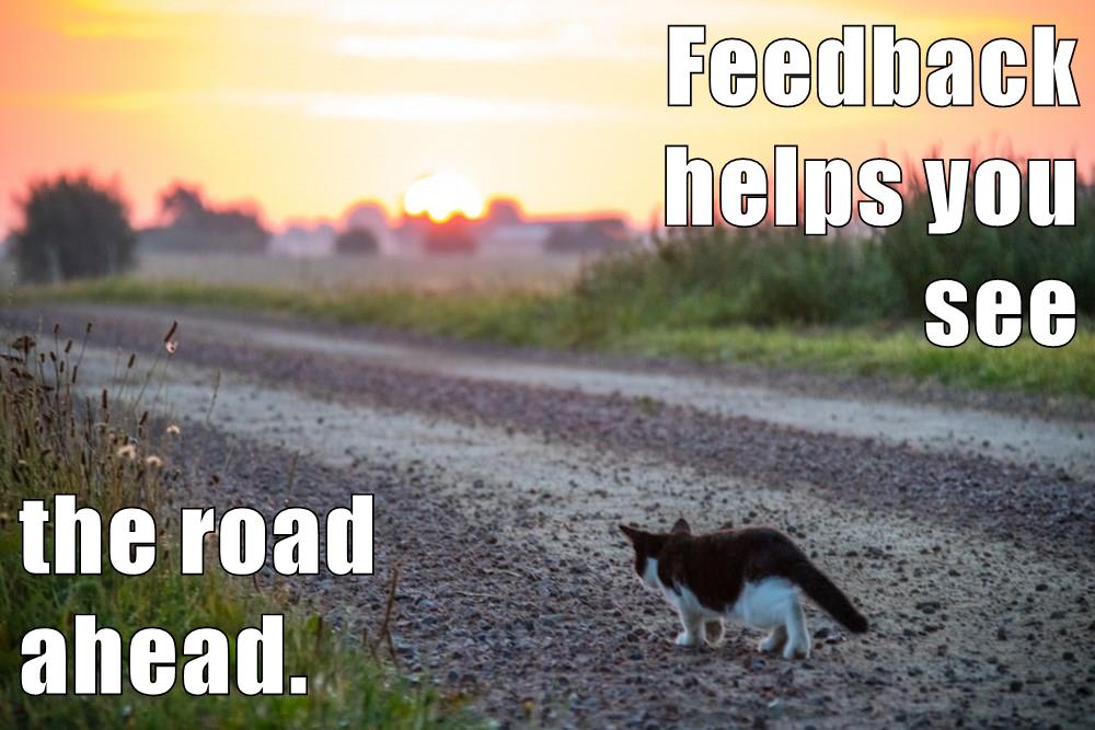 Growth Mindset & Feedback Cats: Feedback helps you see the road ahead.