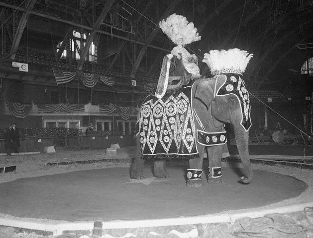 The Circus "NO SPIN ZONE": 08/07/12