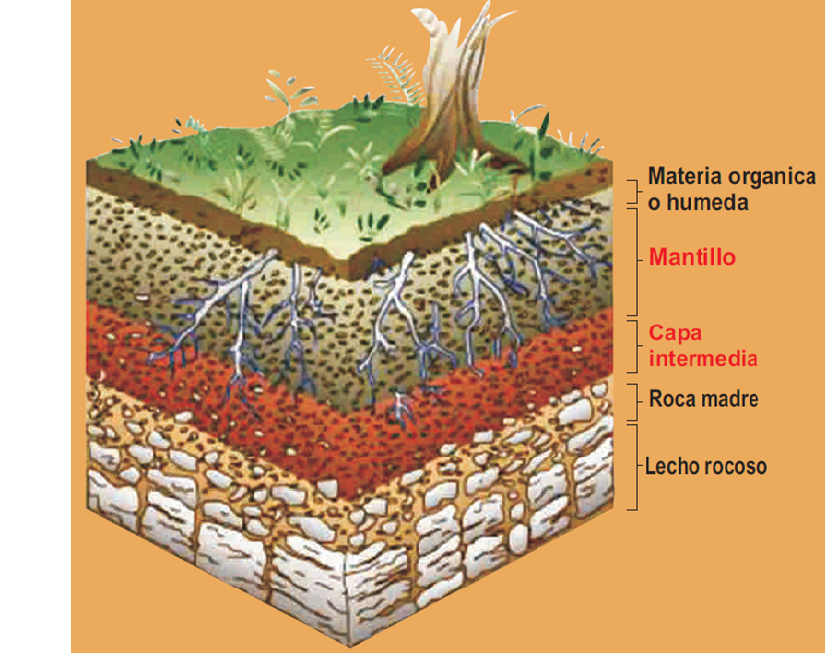 Edafologia (Introduccion)