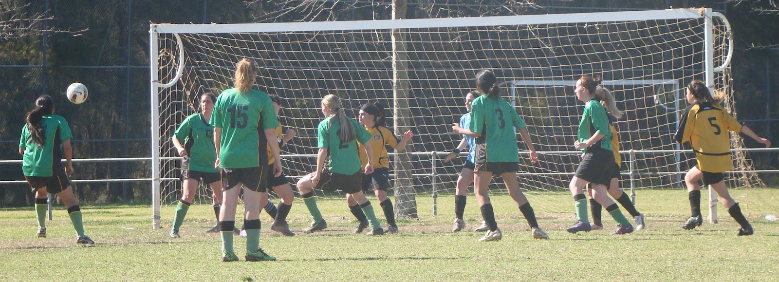 Holroyd Rangers Soccer Club Inc.: Finals match results