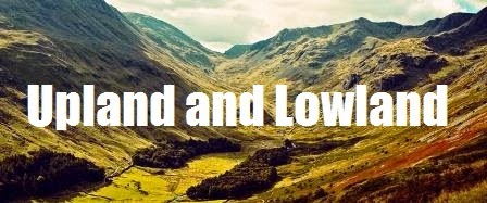 Thoughts to Promote Positive Action...: Upland and Lowland