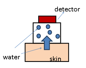 24.What is Transepidermal water loss (TEWL)?
