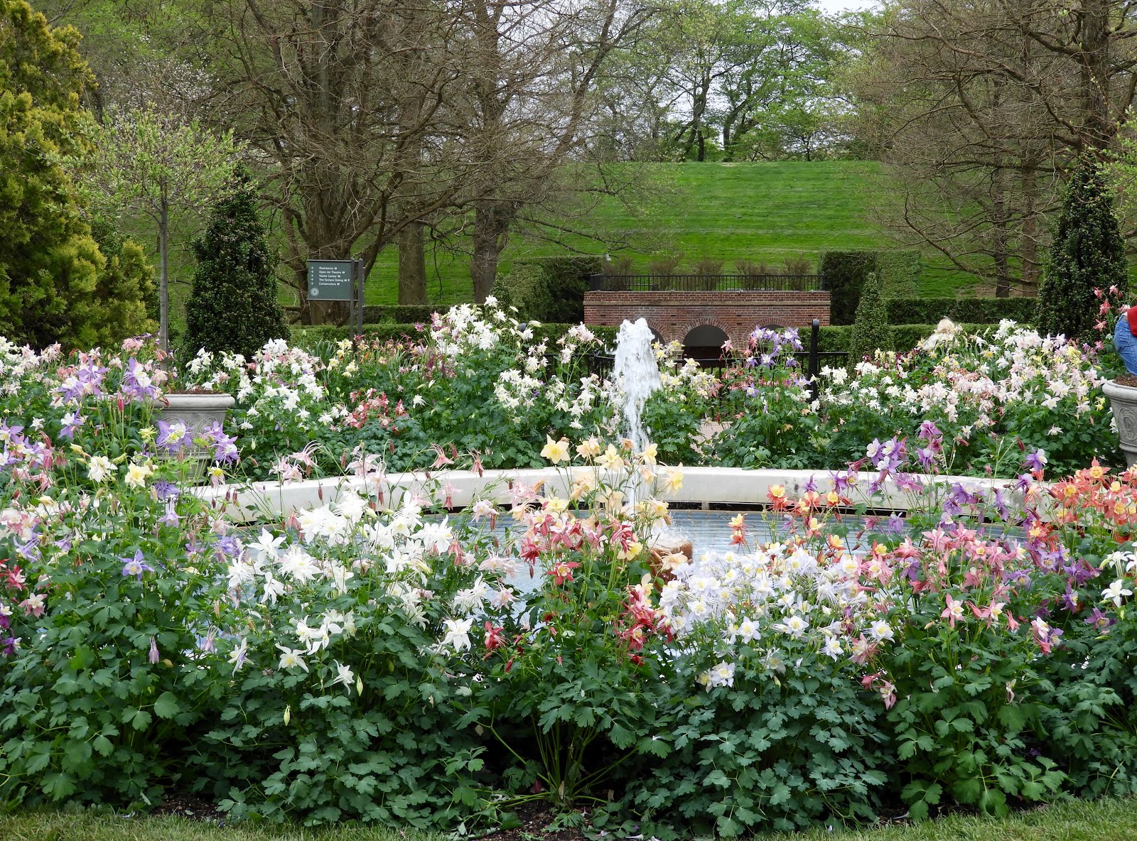 It's All About Purple: Longwood Gardens In Spring
