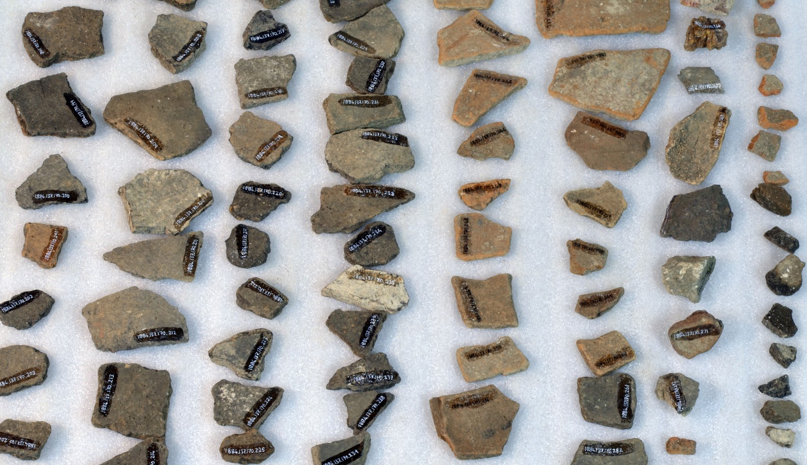 Excavating Pitt-Rivers: Cataloguing ceramic sherds from Mount Caburn ...