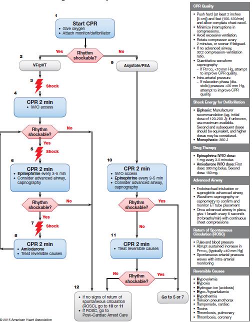 Soporte Vital Avanzado del Adulto: 2015 American Heart Association ...