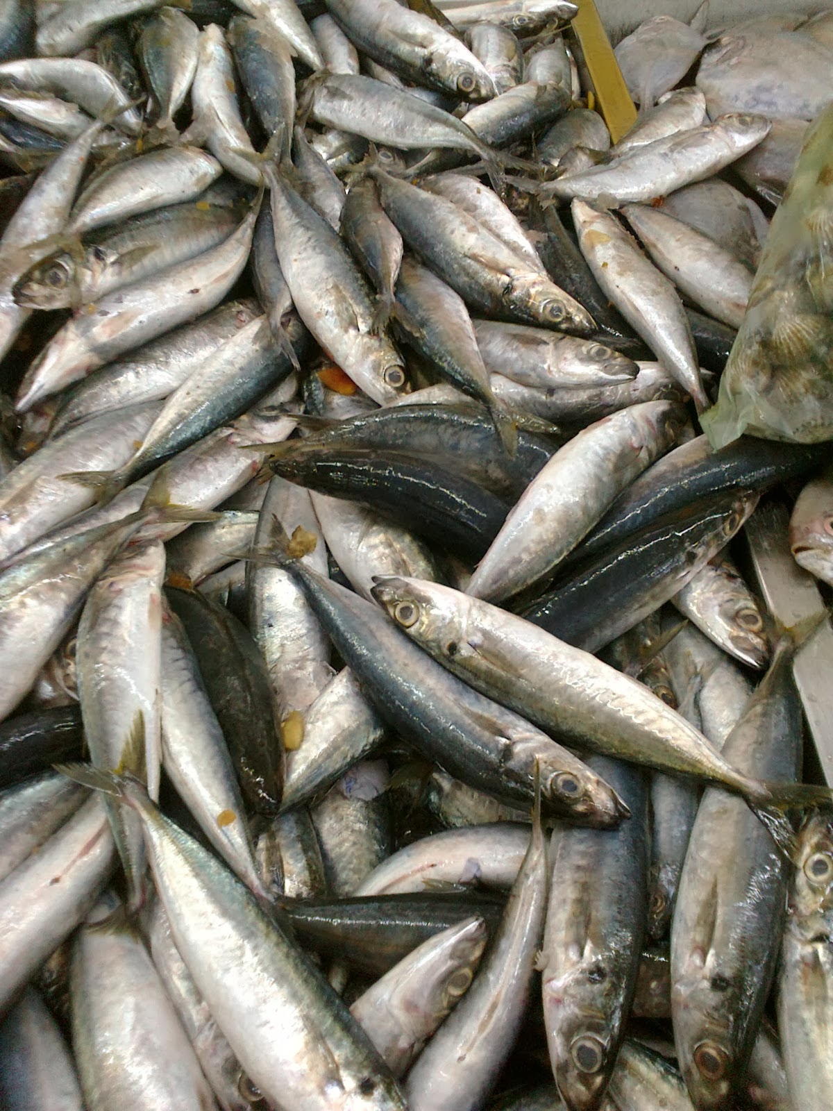 Nostalgia ikan rebus goreng... ~ by Anis Remli