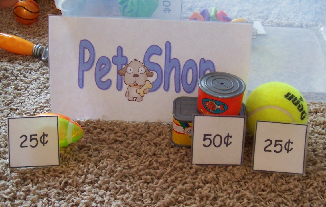 Pet Shop in a Box - Creative Family Fun