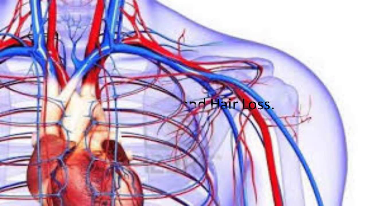 HEALTH: Identify and Treat Poor Blood Circulation - Learn Something New