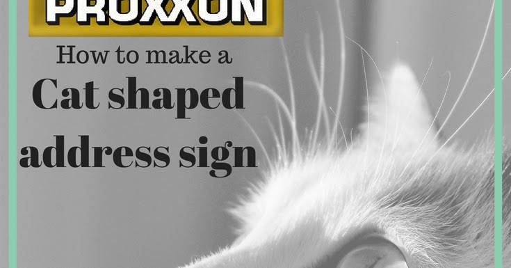 Tiny Tool Time: How to make a cat address sign