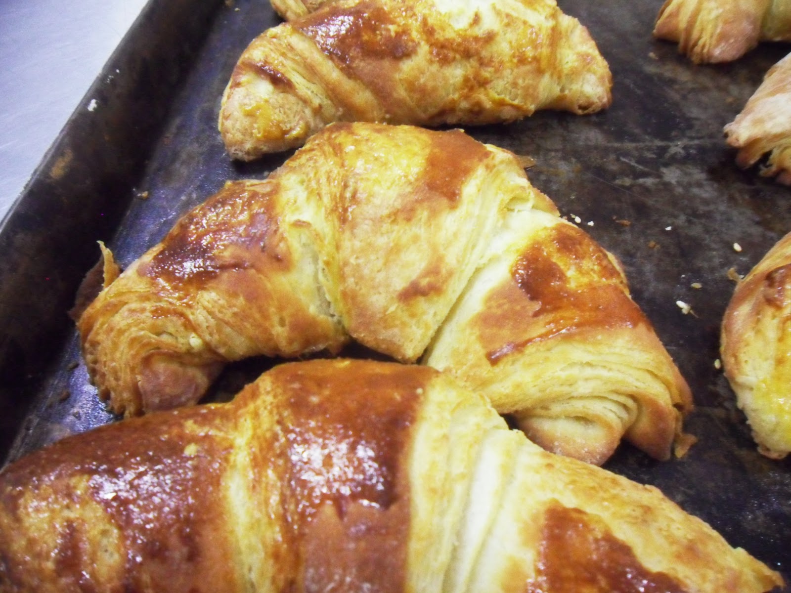 Brioches Salgados e Croissants