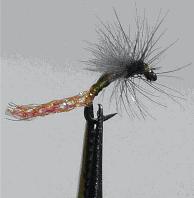Black Hills Fly Fishing: Winter Midge Hatches have Begun