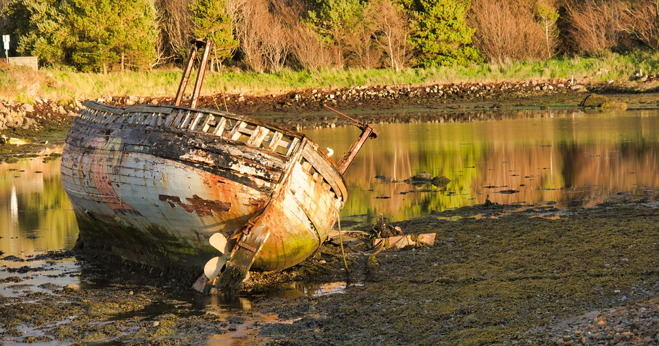 6th Grade Language Arts: No Red Ink and Stories of Survival