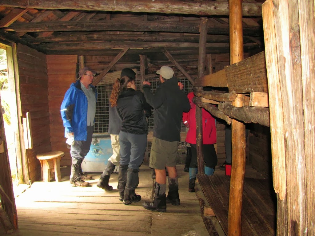 M&M Smith: TASMANIA : DAY 5 : OVERLAND TRACK : Kia Ora Hut to Windy ...