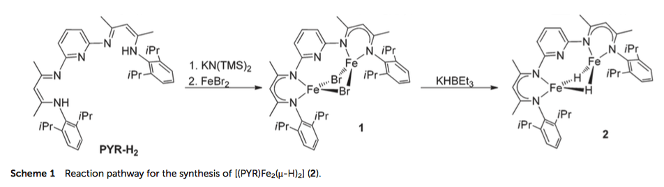 An iron(II) hydride complex of a ligand with two adjacent β ...