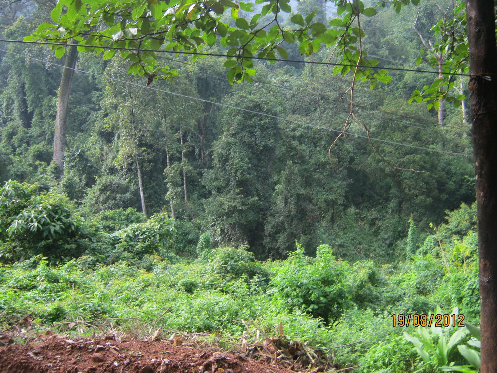 Lord Ayyappa | ಬೆಂಗಳೂರು Guy in Chennai writes....