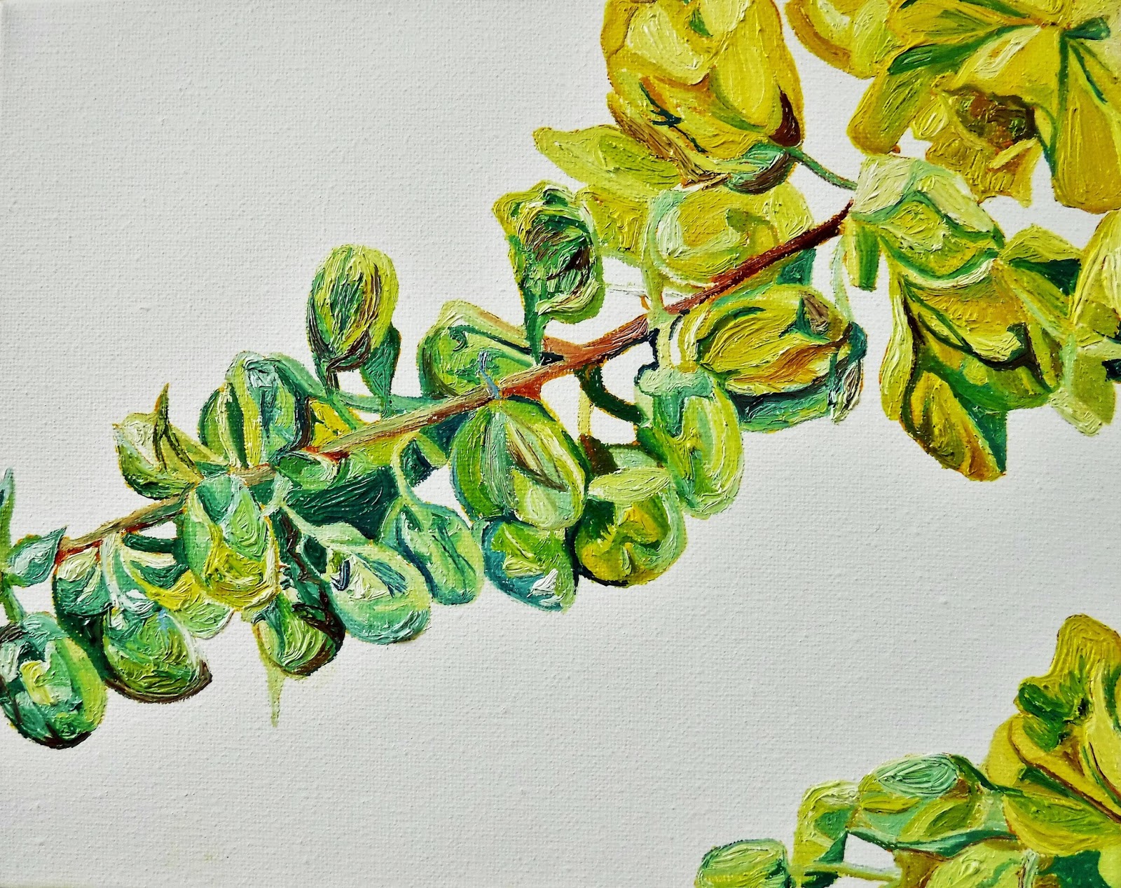 Jane Sproston Art : Mahonia