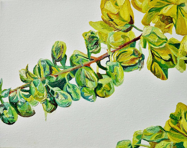 Jane Sproston Art : Mahonia