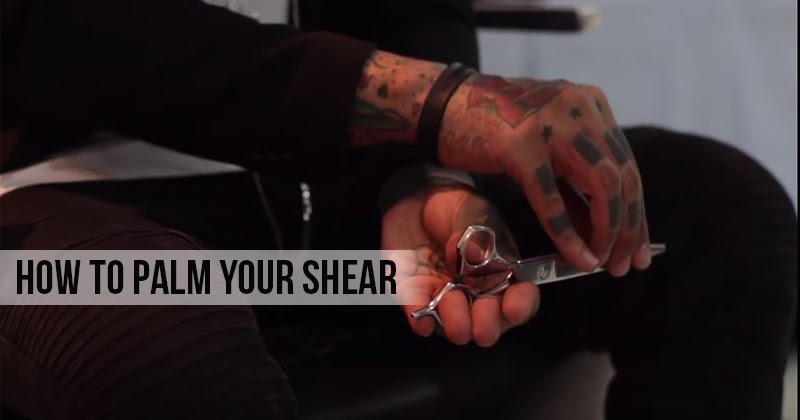 How to Palm your Shears During Special Haircut