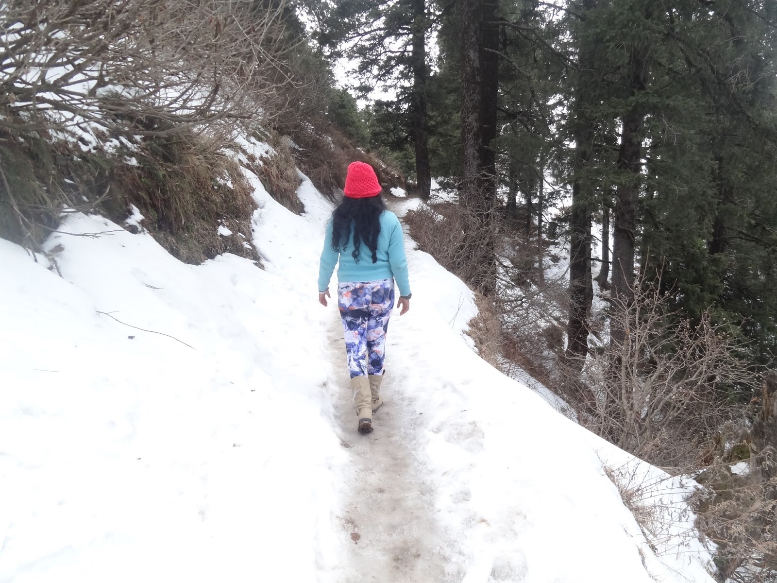 Trek To Dainkund Peak, Dalhousie - DocDivaTraveller