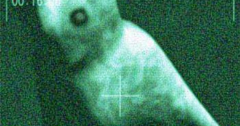 ‘Ningen’ makhluk laut humanoid dari Antartika yang membuat penasaran ...