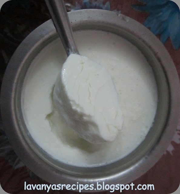 Yogurt / Curd Preparation At Home | Diva Likes