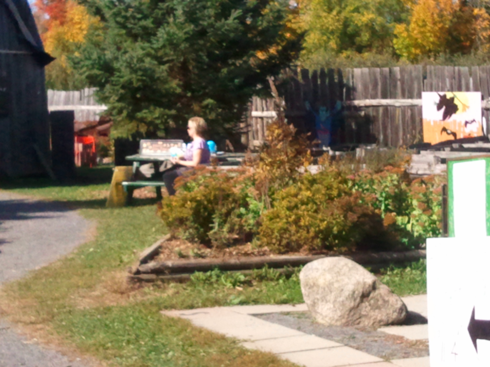 sparklingexpressions: Beautiful day at Cannamore Orchard
