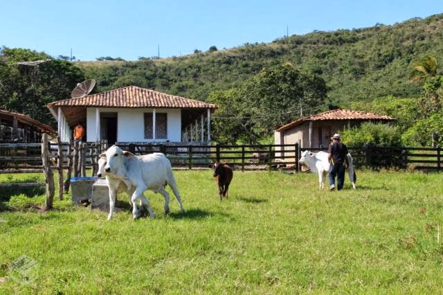 LOUCOS POR TECNOLOGIAS: Diferenças entre cidade e município, zona rural ...