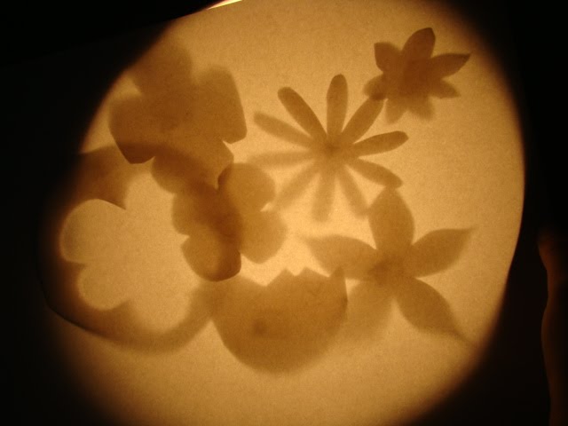 So Random!: Shadow Flower Art