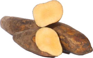 AGROYMSA PERU: Propiedades del Yacón