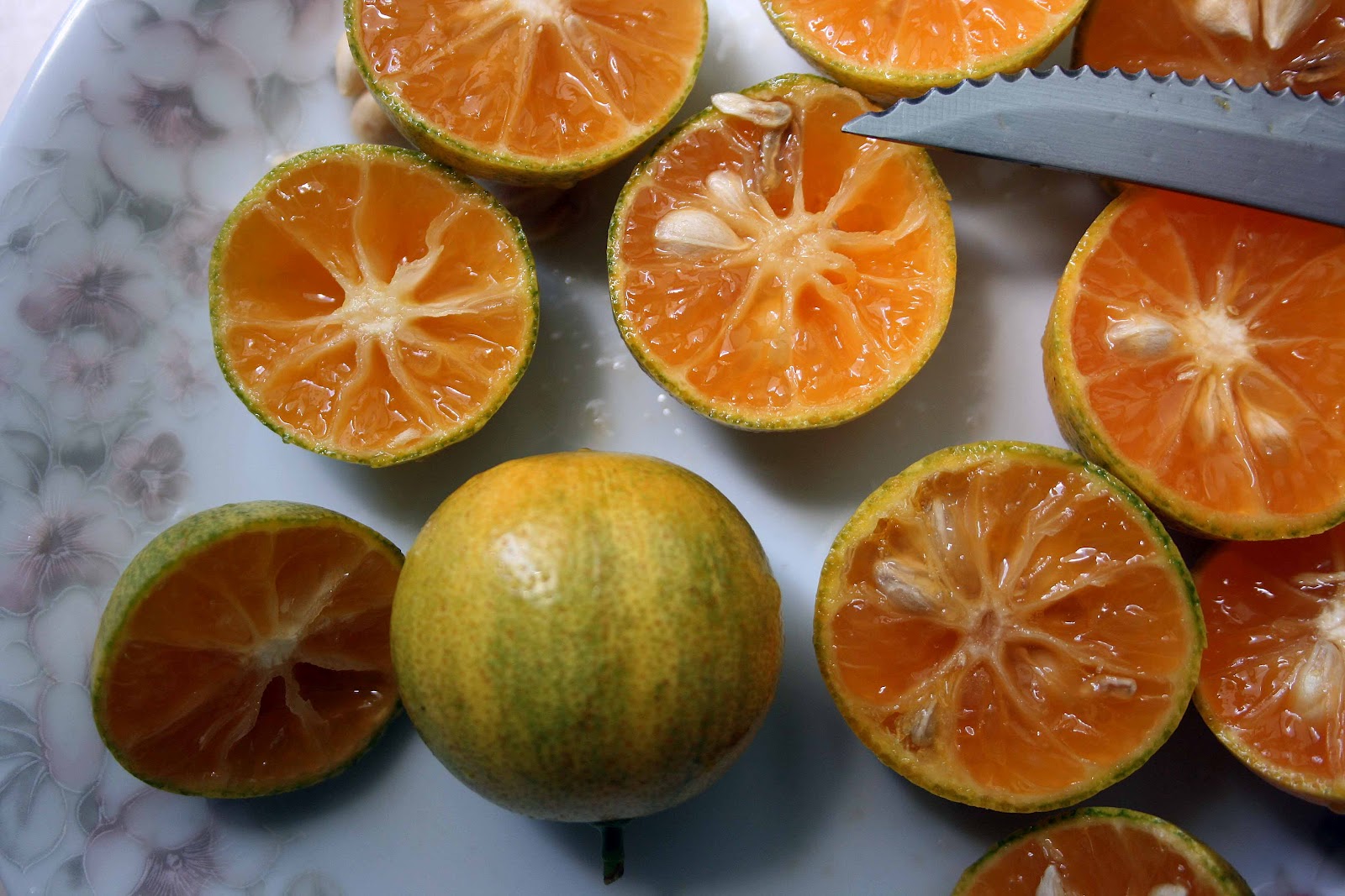 Limão - Citrus limonium