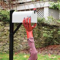 Deep South Dish: All You Frightfully Fun Halloween Handbook Review